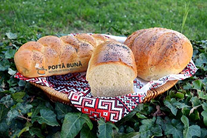 Paine de casa reteta simpla cu putina drojdie - Gina Bradea