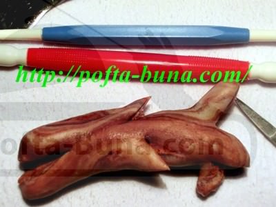 Trunchi de copac din pasta de zahar (tort buturuga)