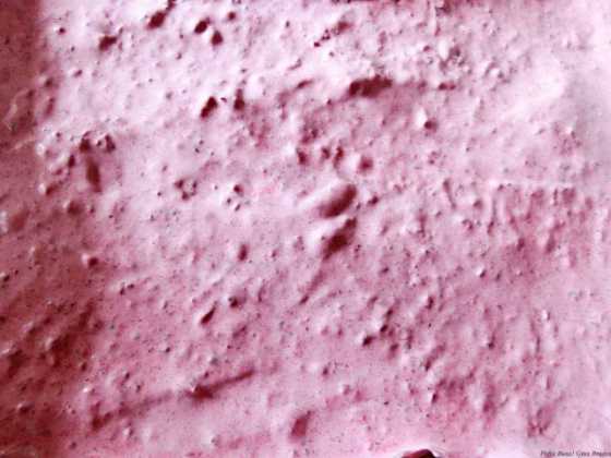 Mousse cu iaurt si fructe de padure