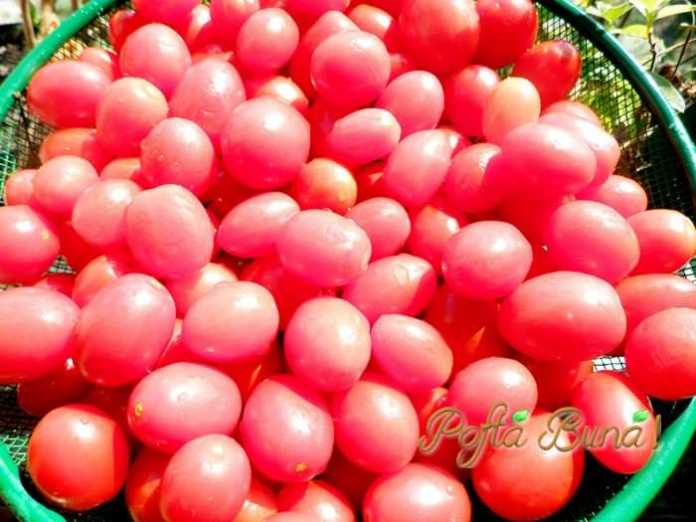 Rosii in bulion pentru iarna - Retete cu Gina Bradea