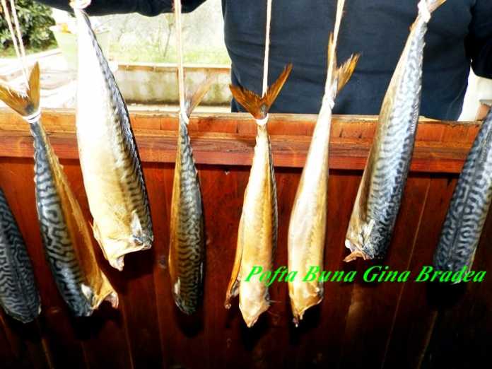 Peste afumat reteta dobrogeana - Retete cu Gina Bradea