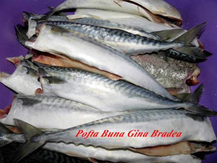 Peste afumat reteta dobrogeana - Retete cu Gina Bradea