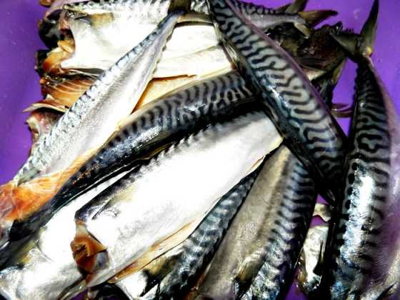 Peste marinat, macrou, scrumbie Peste - Retete cu Gina Bradea