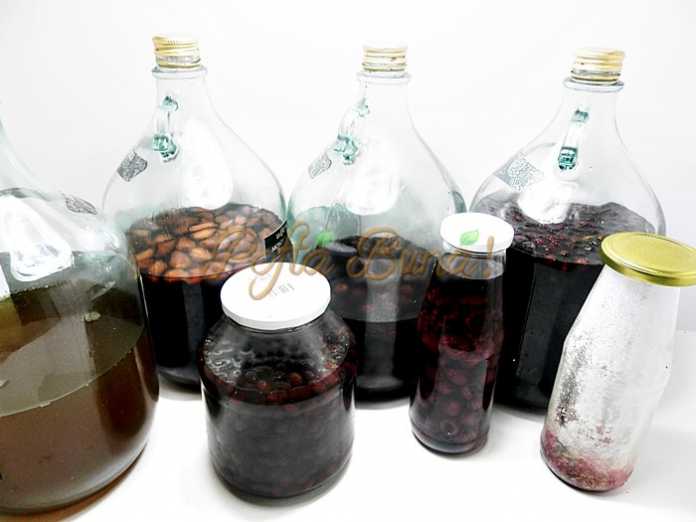 Visinata de casa reteta simpla - Retete cu Gina Bradea