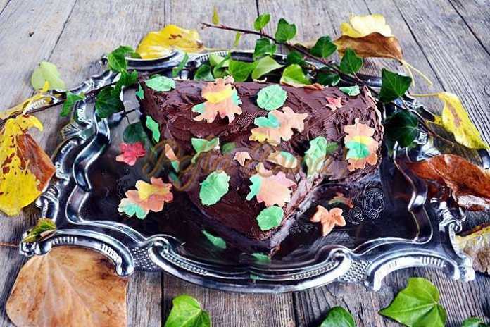 Tort buturuga cu ciocolata si foaie de rulada