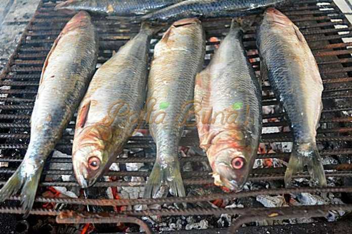 Scrumbie la gratar reteta pescareasca - Gina Bradea