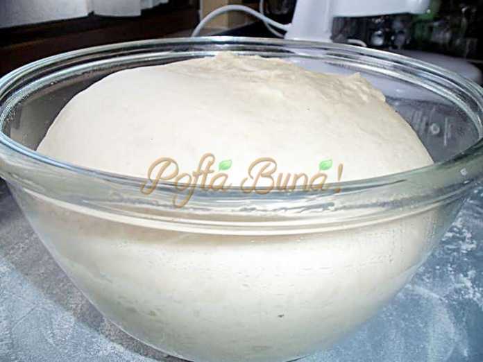 Bomboloni reteta de gogosi italiene - Gina Bradea