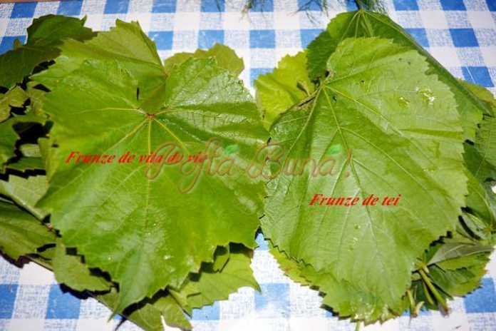 Sarmale in foi de vita sau tei - Retete cu Gina Bradea