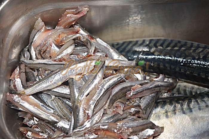 Hamsii, obleti sau sprot prajit, reteta simpla - Gina Bradea
