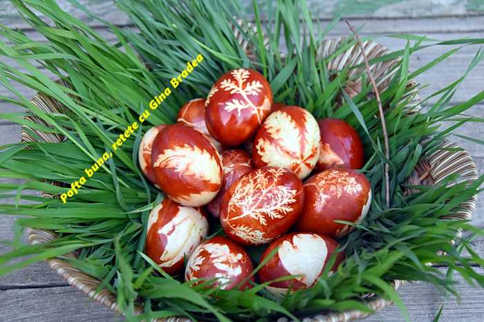 Cozonac Gina Bradea, panettone sau pandoro?