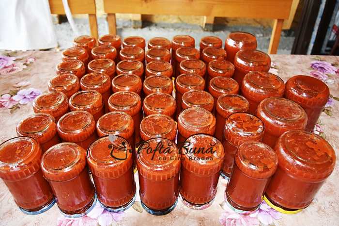 Bulion de rosii si ardei reteta naturala - Gina Bradea