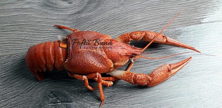 Raci fierti cu mujdei reteta dobrogeana - Gina Bradea