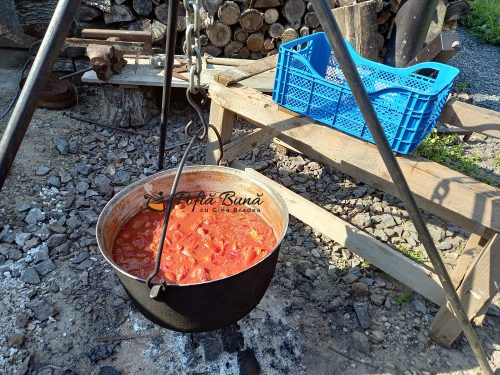 Bulion de rosii reteta italiana de passata di pomodoro - Gina Bradea